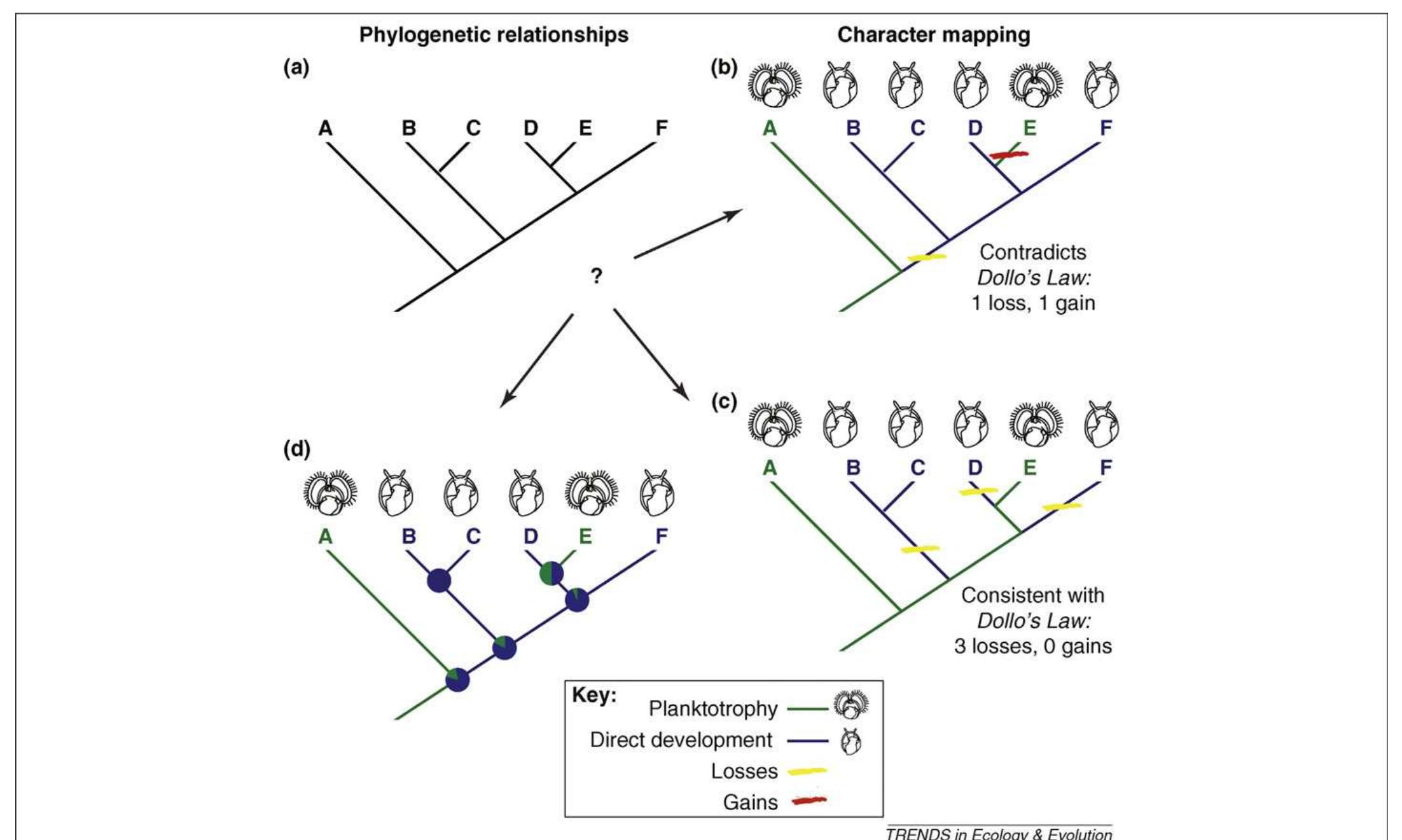 Steps to determine whether the pattern of character