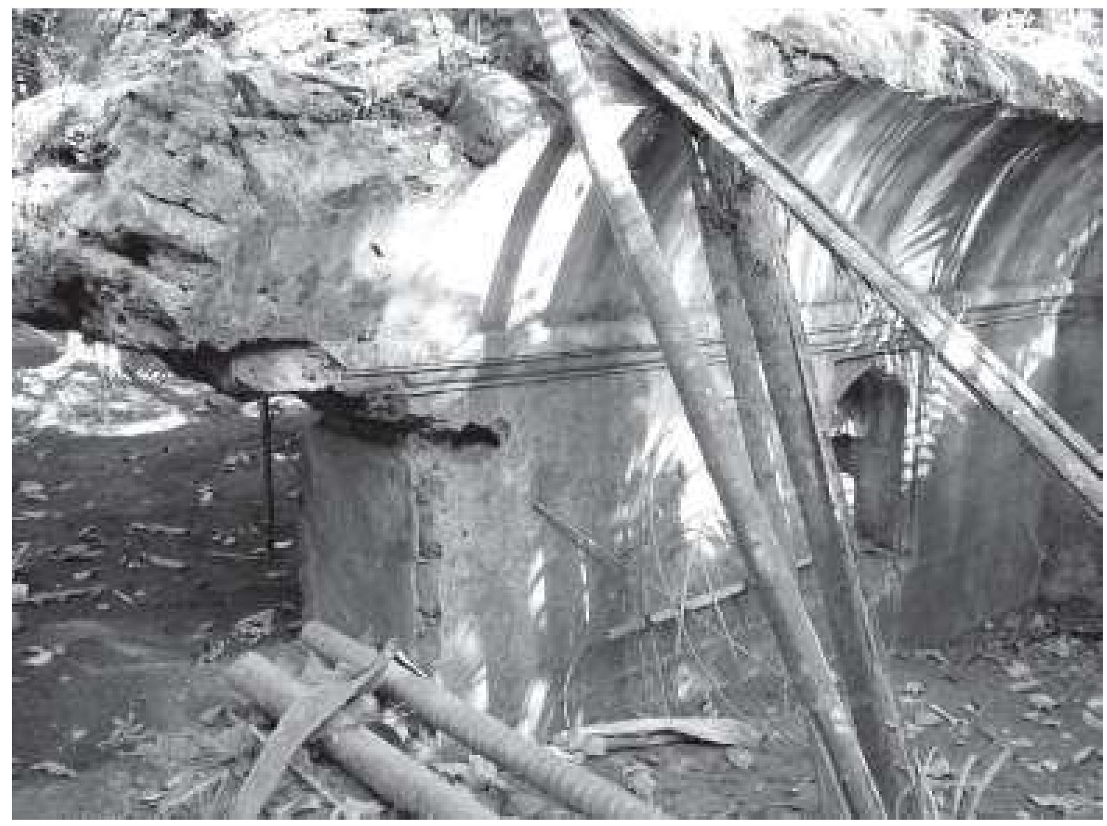 14 remains of the ‘storage room’