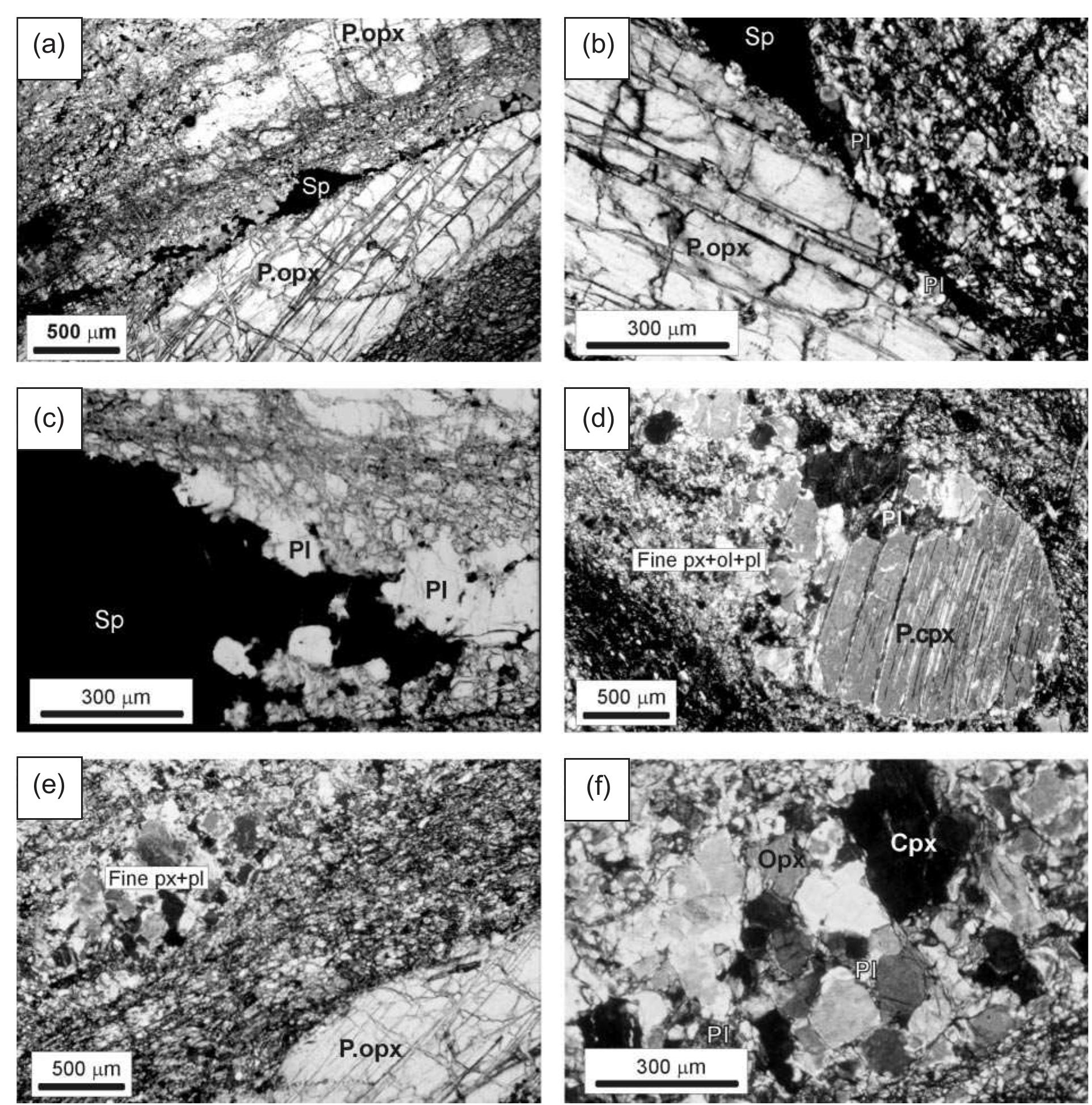 Thin-section photographs of plagioclase-bearing mylonites