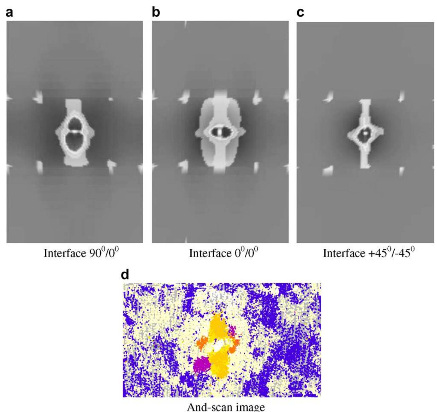 Delamination map obtained at each interface obtained from