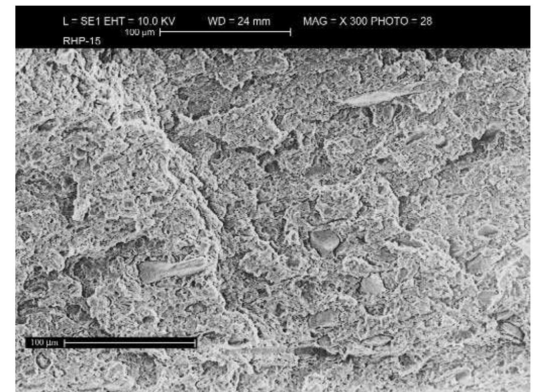 Scanning electron micrograph of tensile fracture surface of