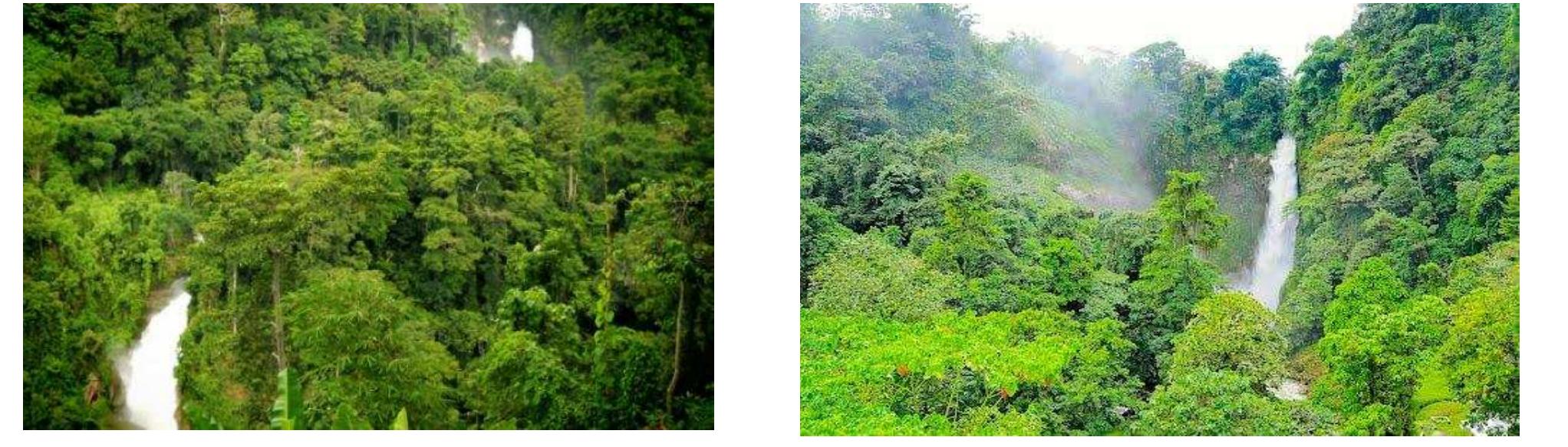 (PDF) The T'boli: Songs, Stories and Society