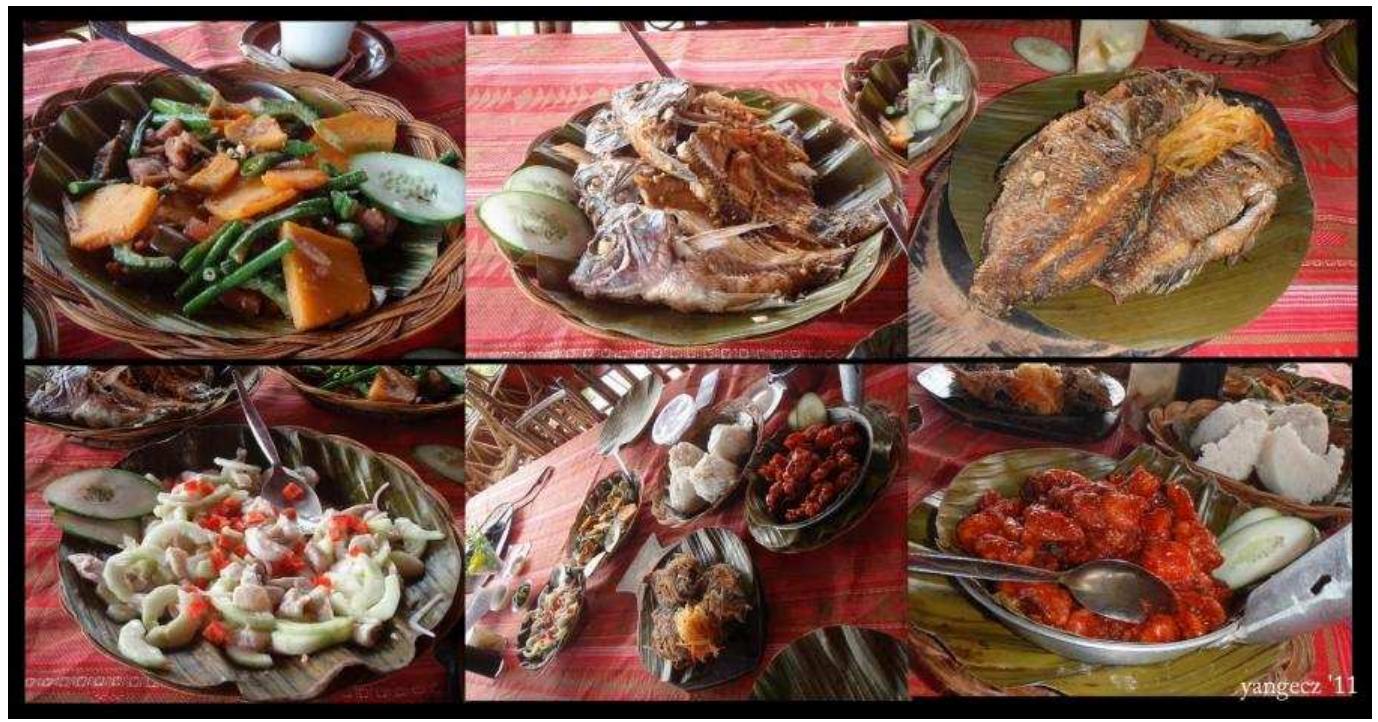 (PDF) The T'boli: Songs, Stories and Society