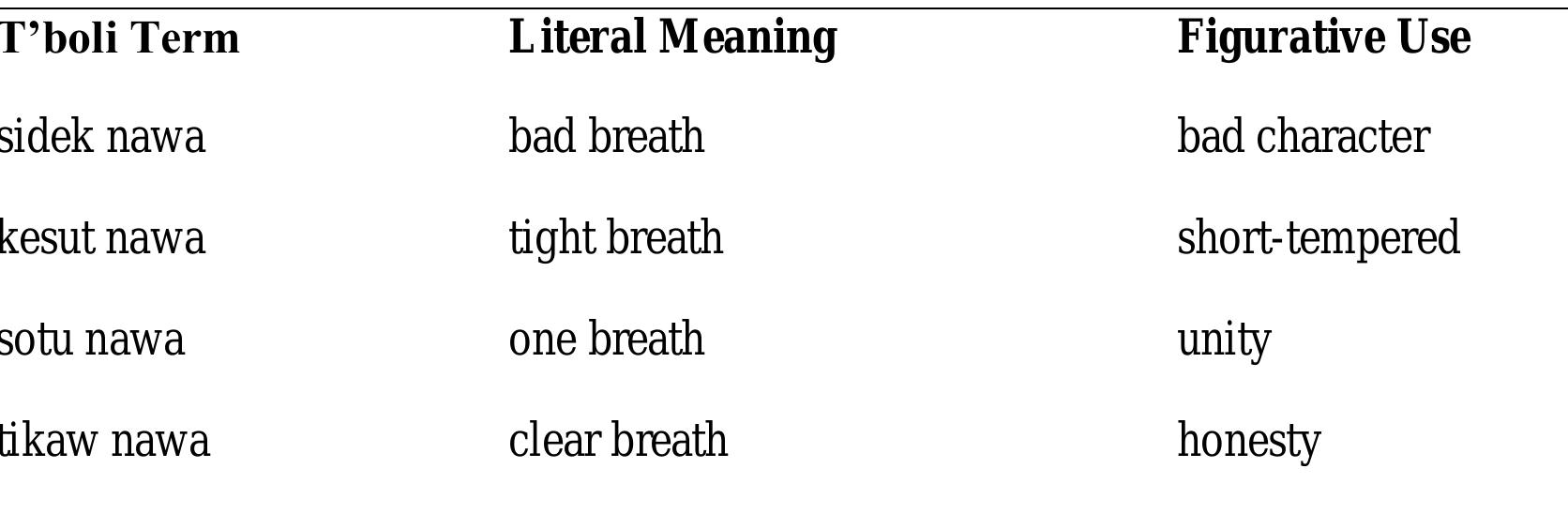 (PDF) The T'boli: Songs, Stories and Society
