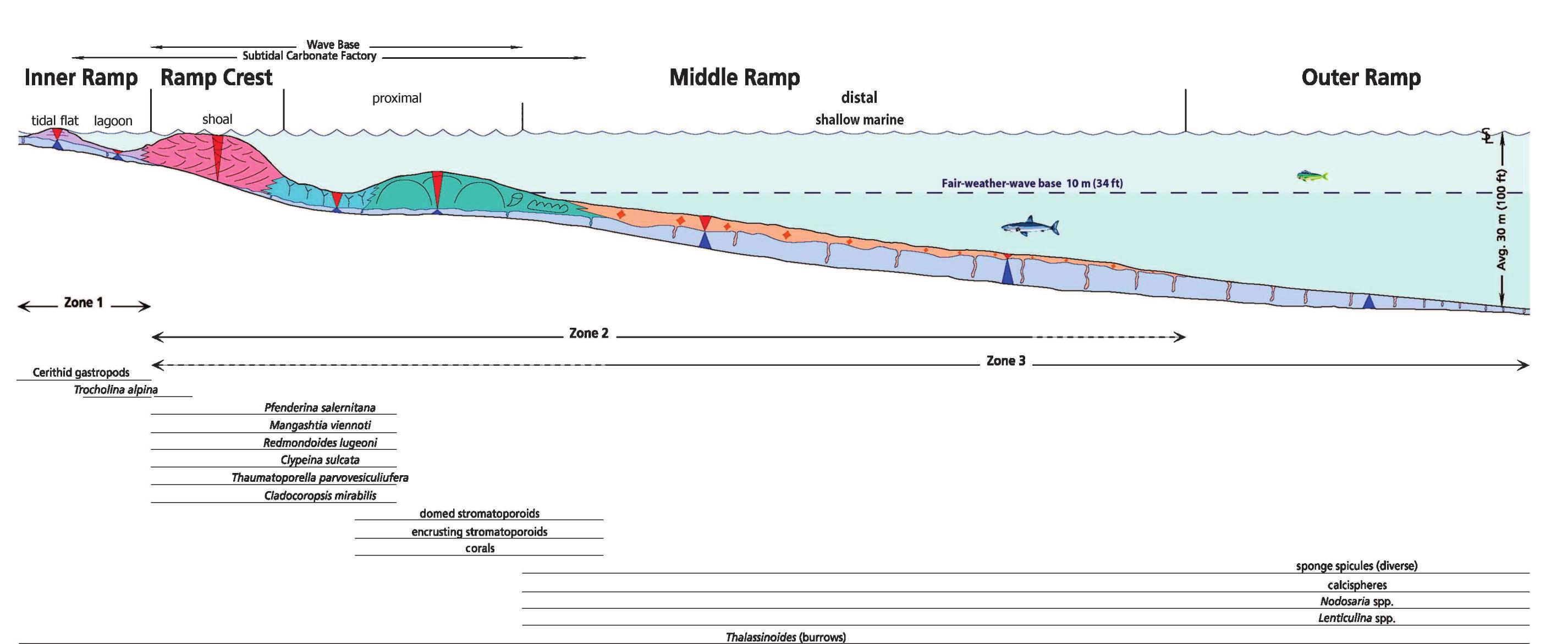 Idealized depositional model of the arab-d reservoir
