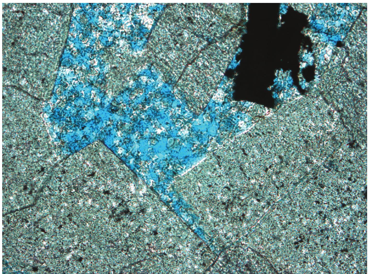 Thick in the shedgum arab-d core) onlapped and even- tually