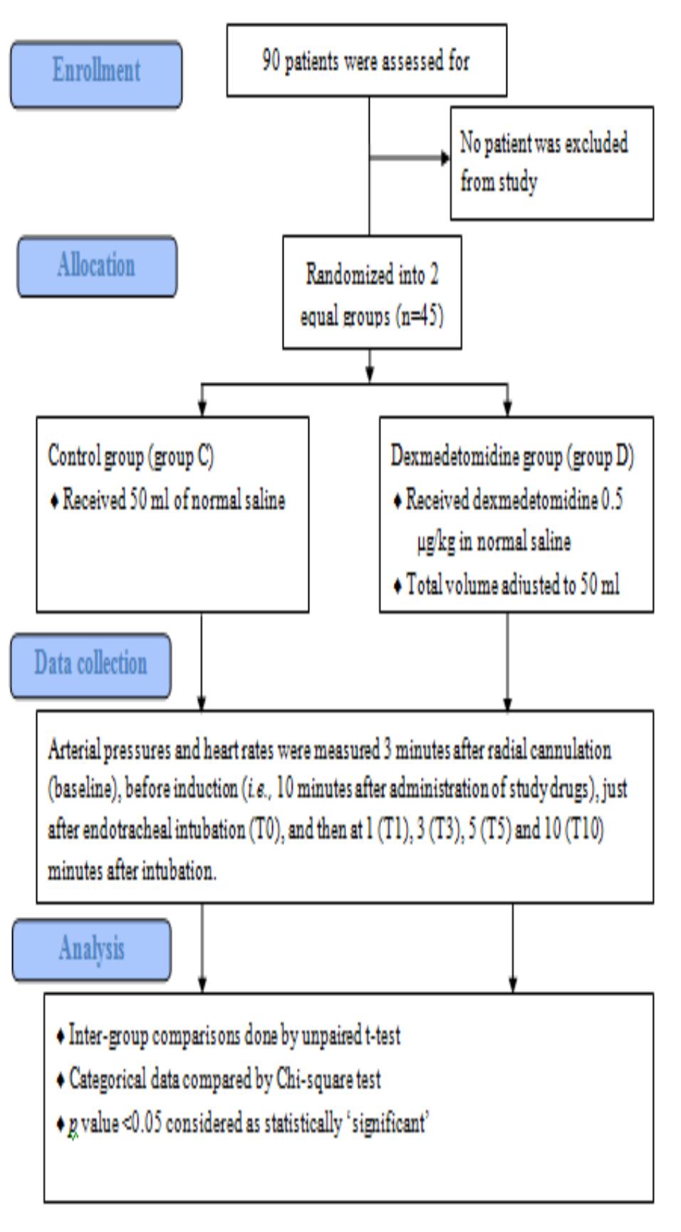 Flow chart showing the progress in our study