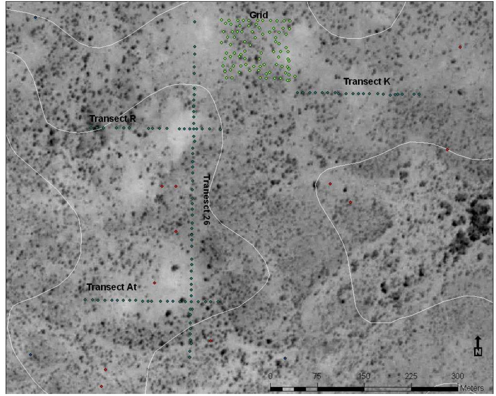 17 an aerial photograph showing the transects (except