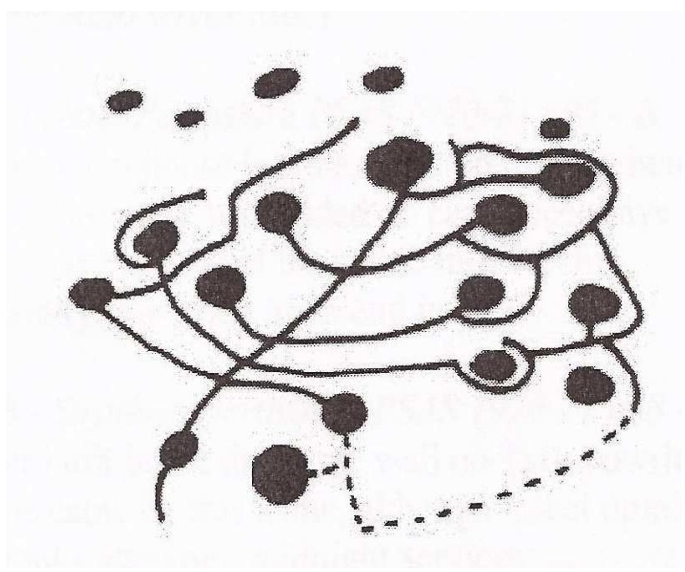 Drawing of the tree of life cup-marked stone, north