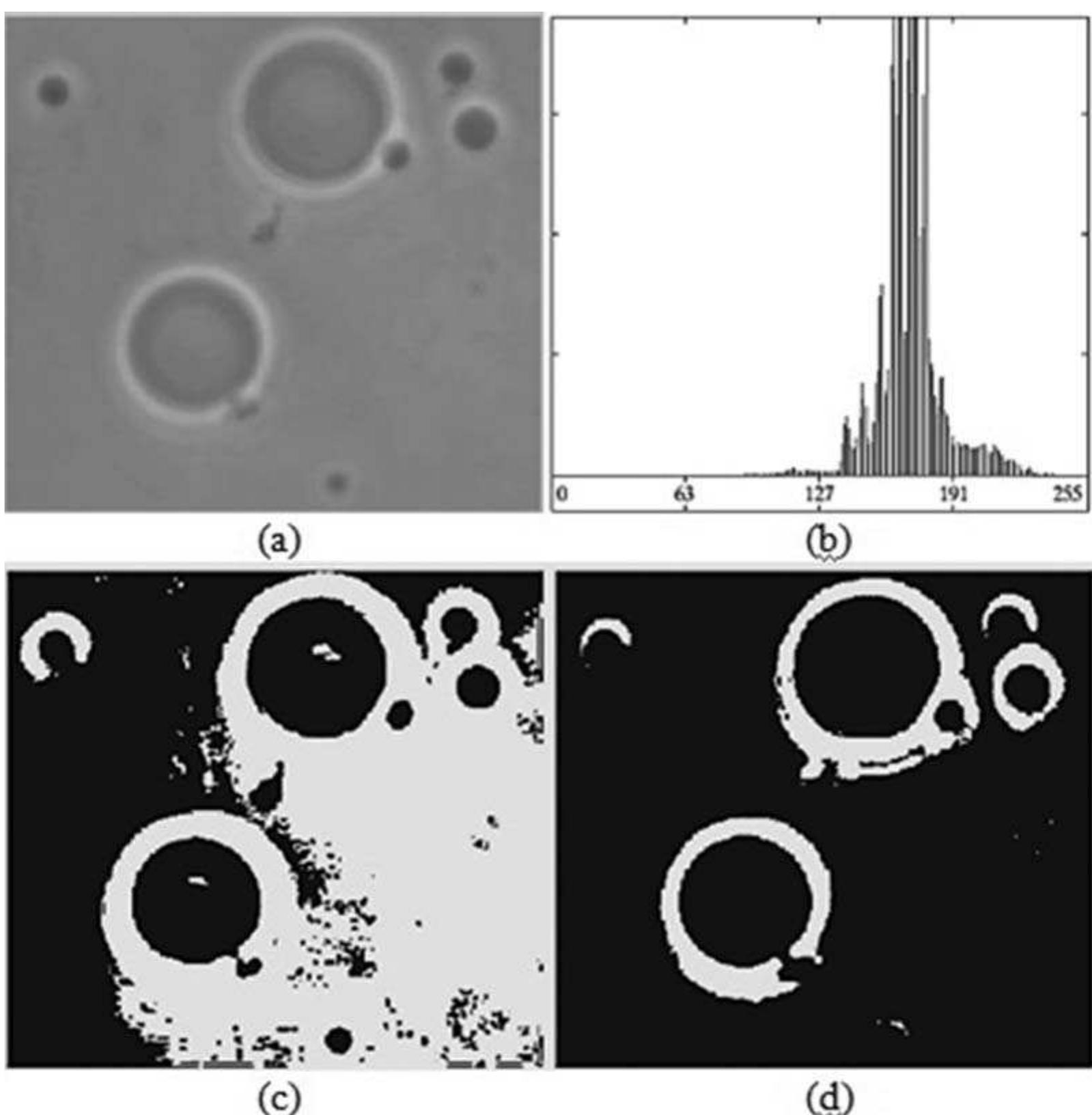Otsu’s thresholding. (a) original image. (b) histogram of an