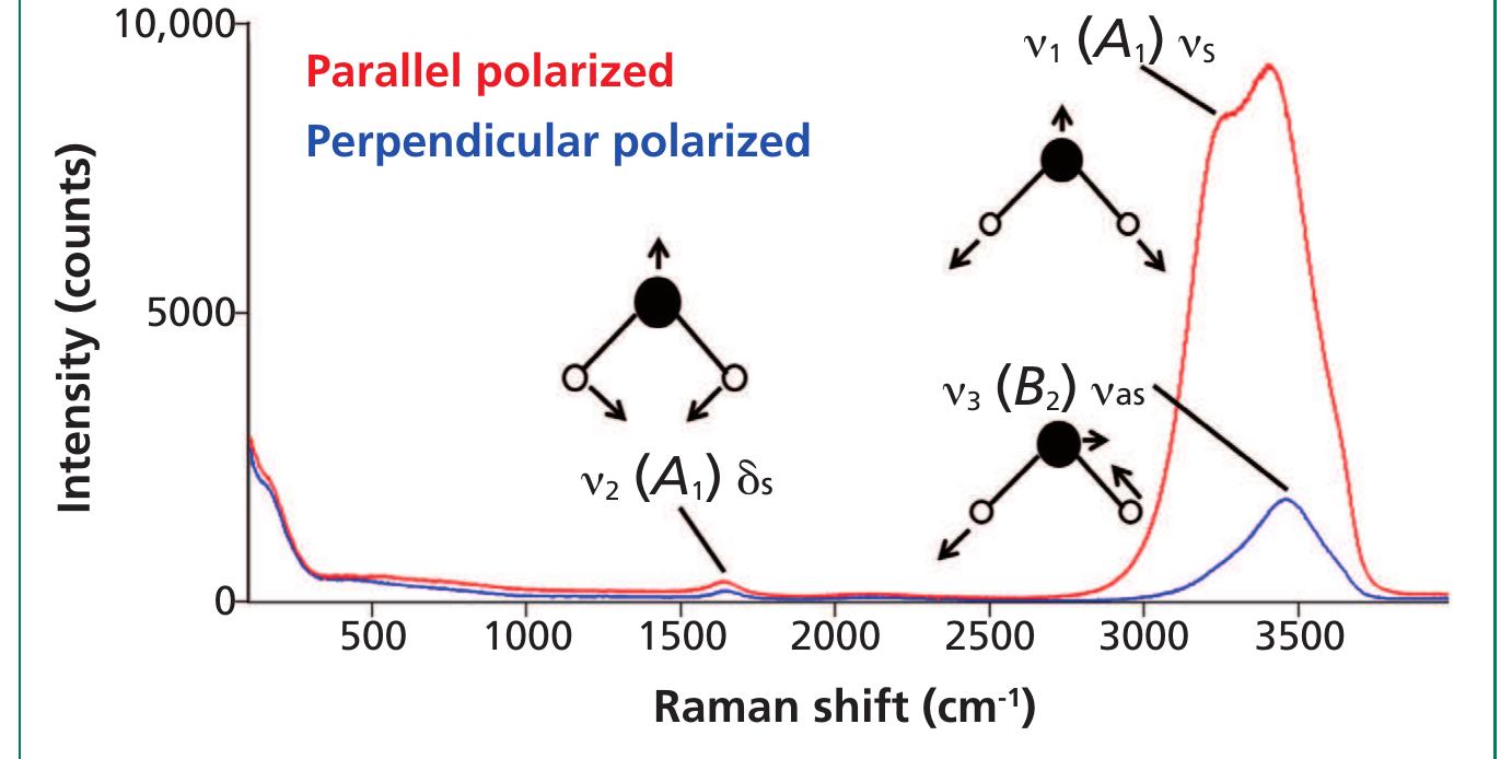Polarized raman spectra of h,0.