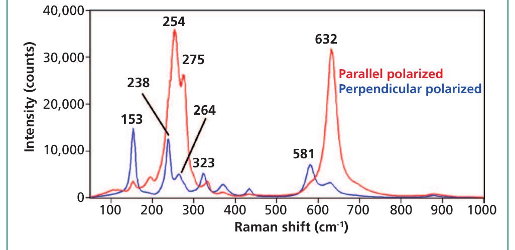 Polarized raman spectra of the x-face of single crystal linc