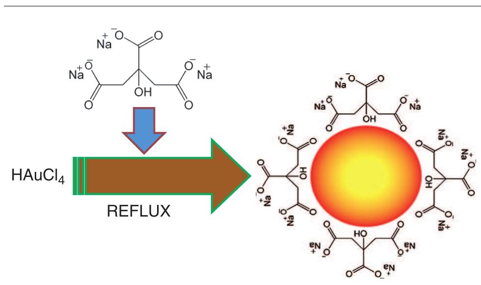 A fully standardized method of synthesis of aunps of desired