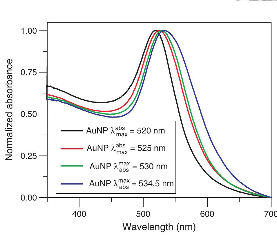 Absorption spectra of four of the synthesized spherical gold