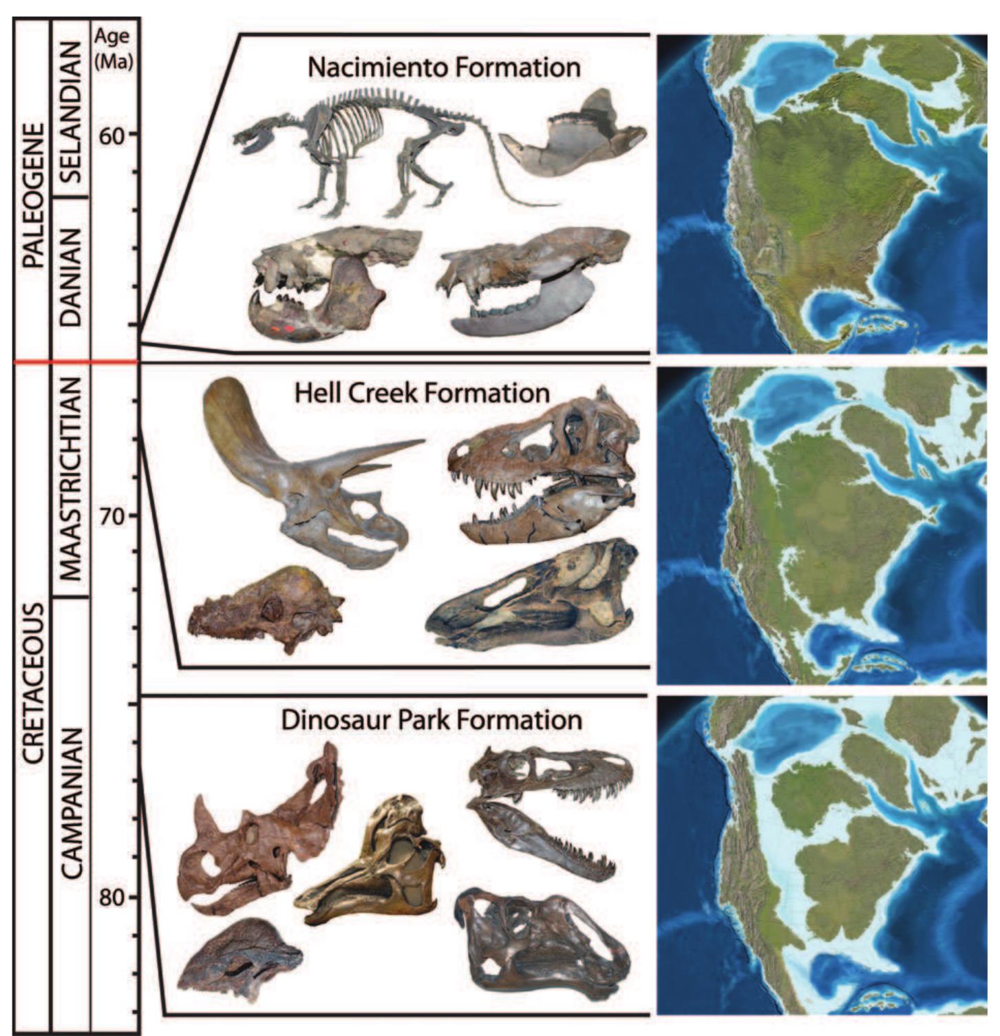 Figure 1 - from The extinction of dinosaurs