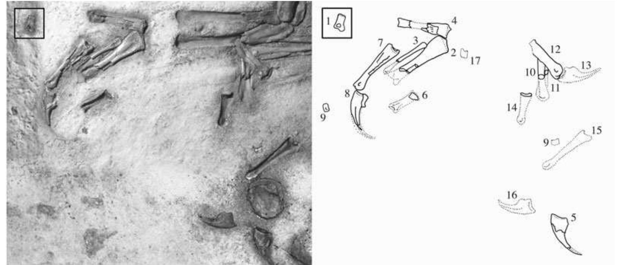 Overview of the preserved manual material in the munich
