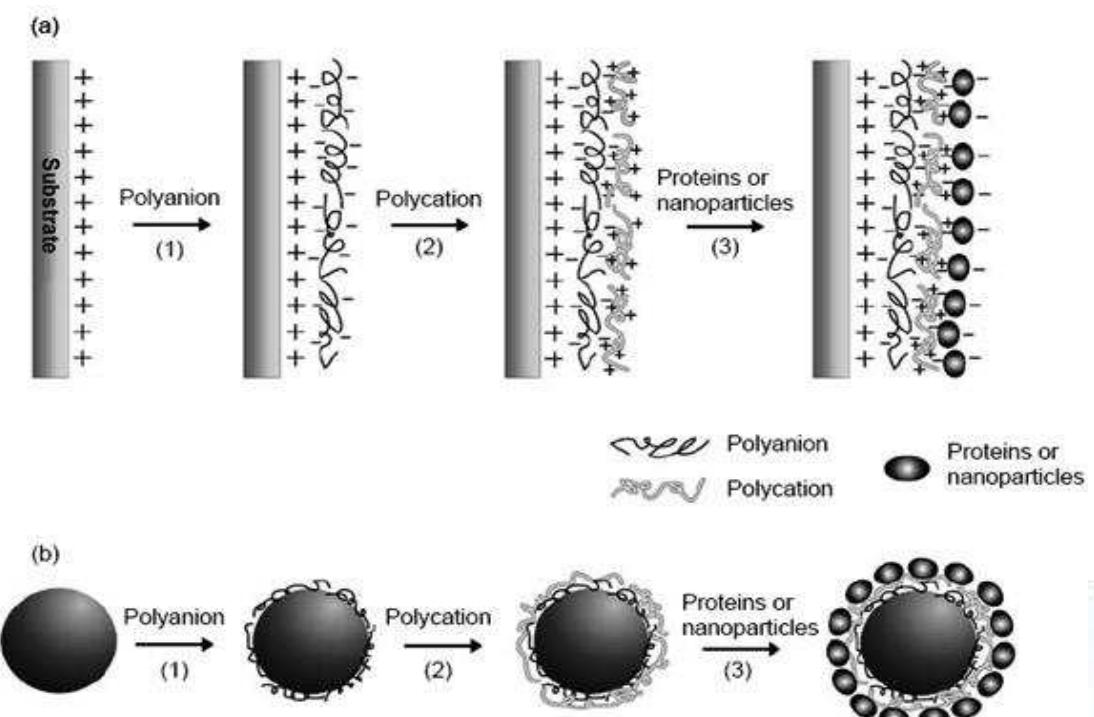 (a) schematic illustration of film deposition process
