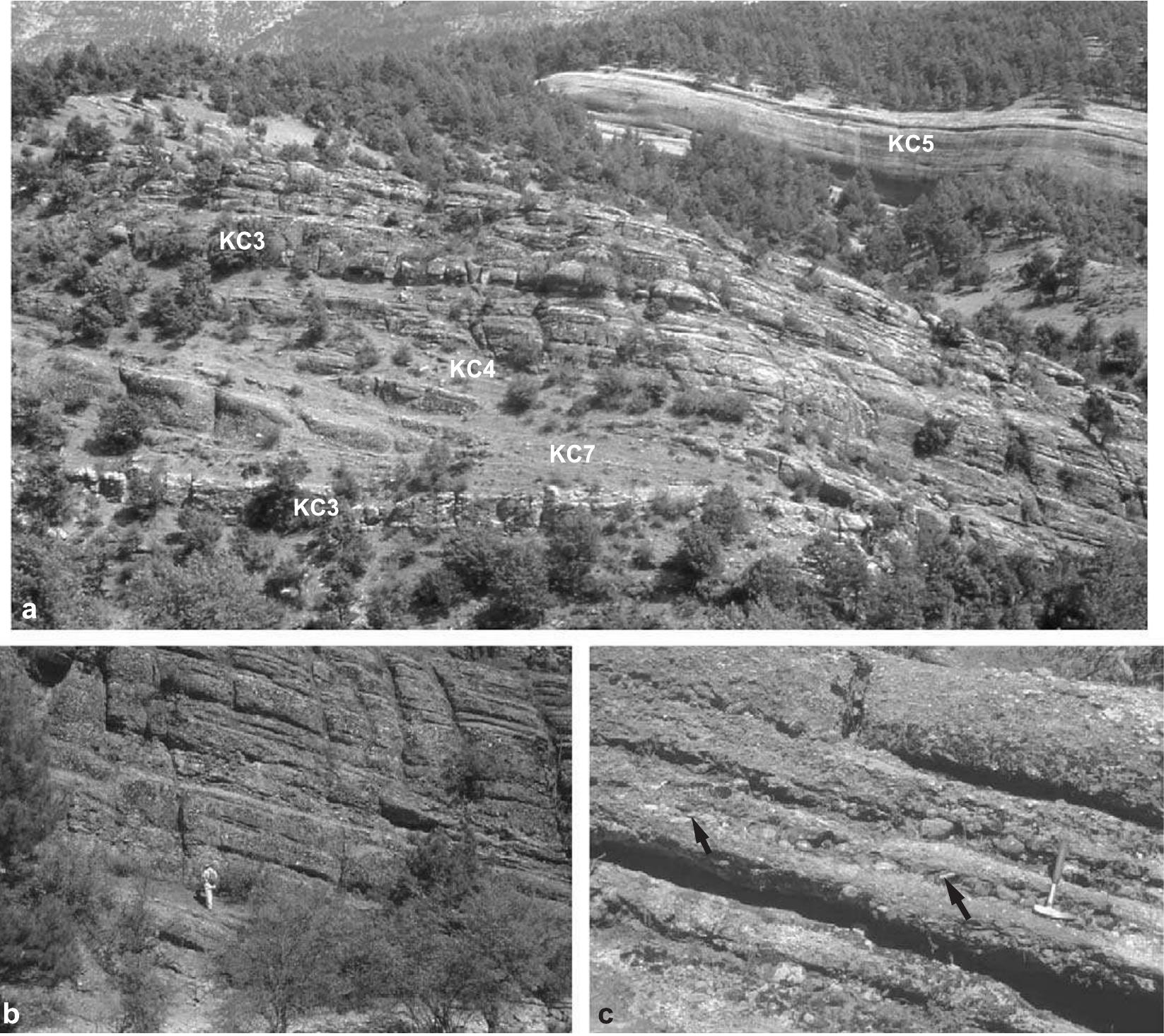 (a) large-scale clinoforms of facies kc4 downlapping and