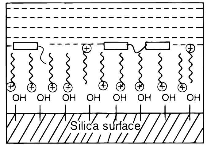 Schematic diagram of the orientation of mono- chromophoric