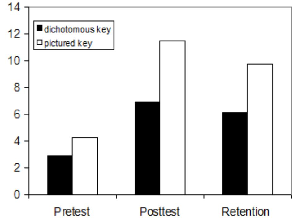 Differences Between Two Identification Materials Over Time