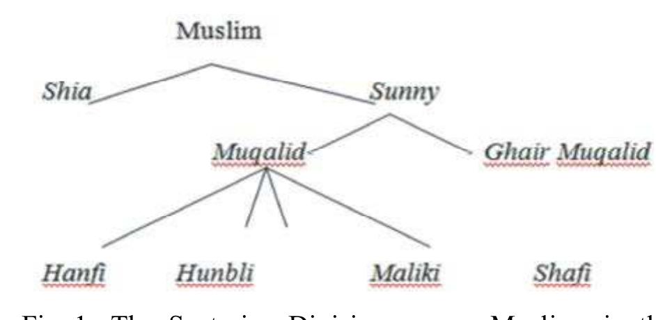 Figure 2 - Sectarian Divisions of Pakistani Society: Role of