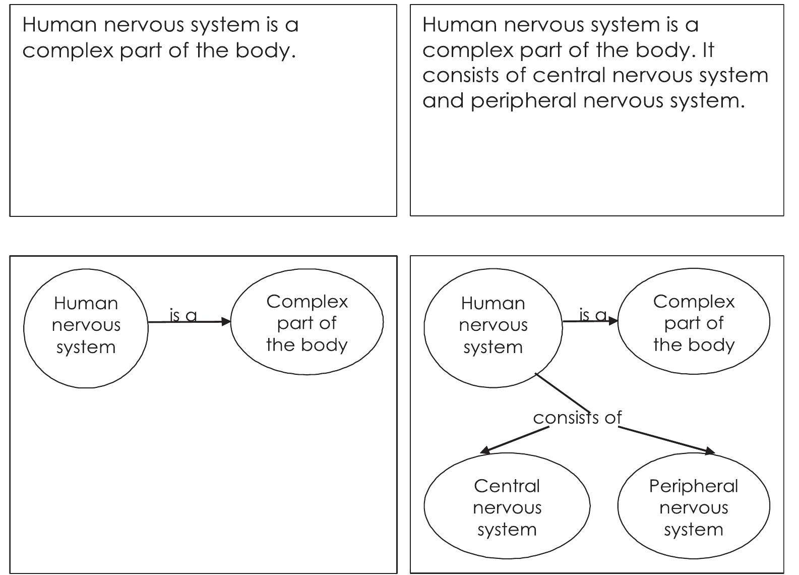 Example of an animated concept map and animated text