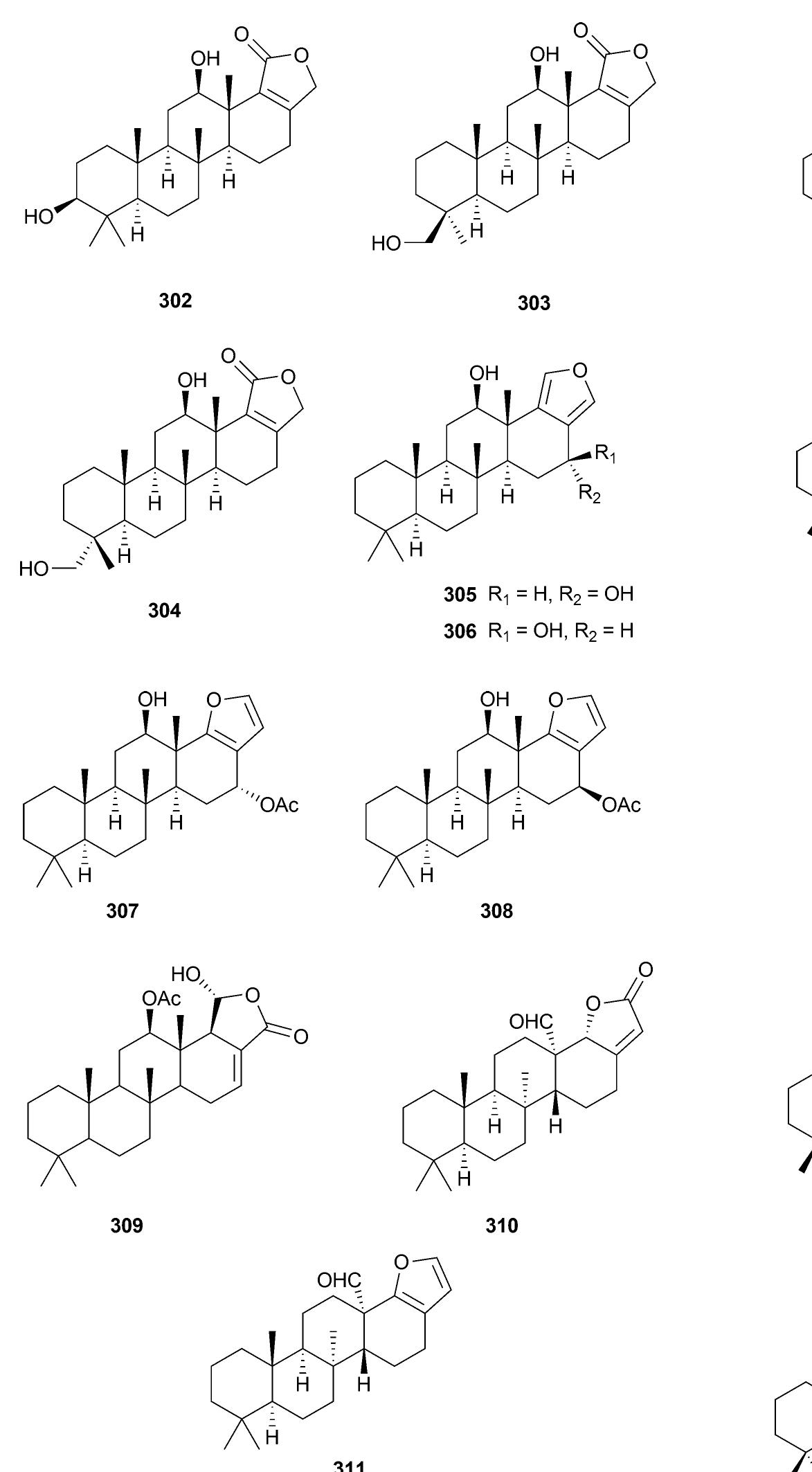 Cytotoxic pentacyclic sesterterpenoids 318-320.'% h. erectus