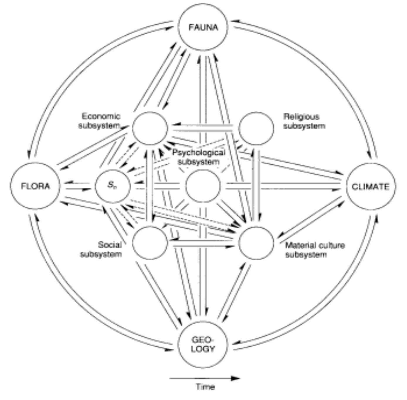 3 a static and schematic model of the dynamic equilibrium