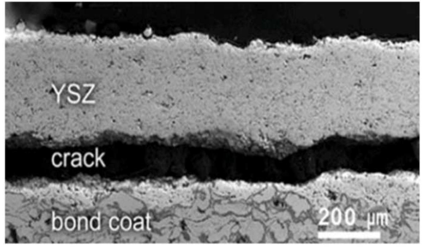 Sem image showing the cross-section of the coating after hot