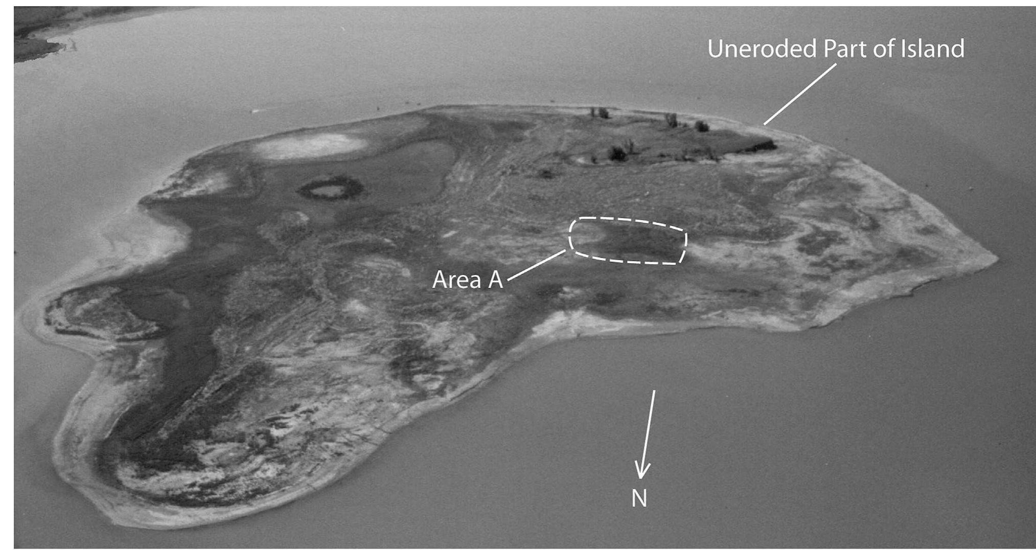 Aerial view of beacon island, looking south.