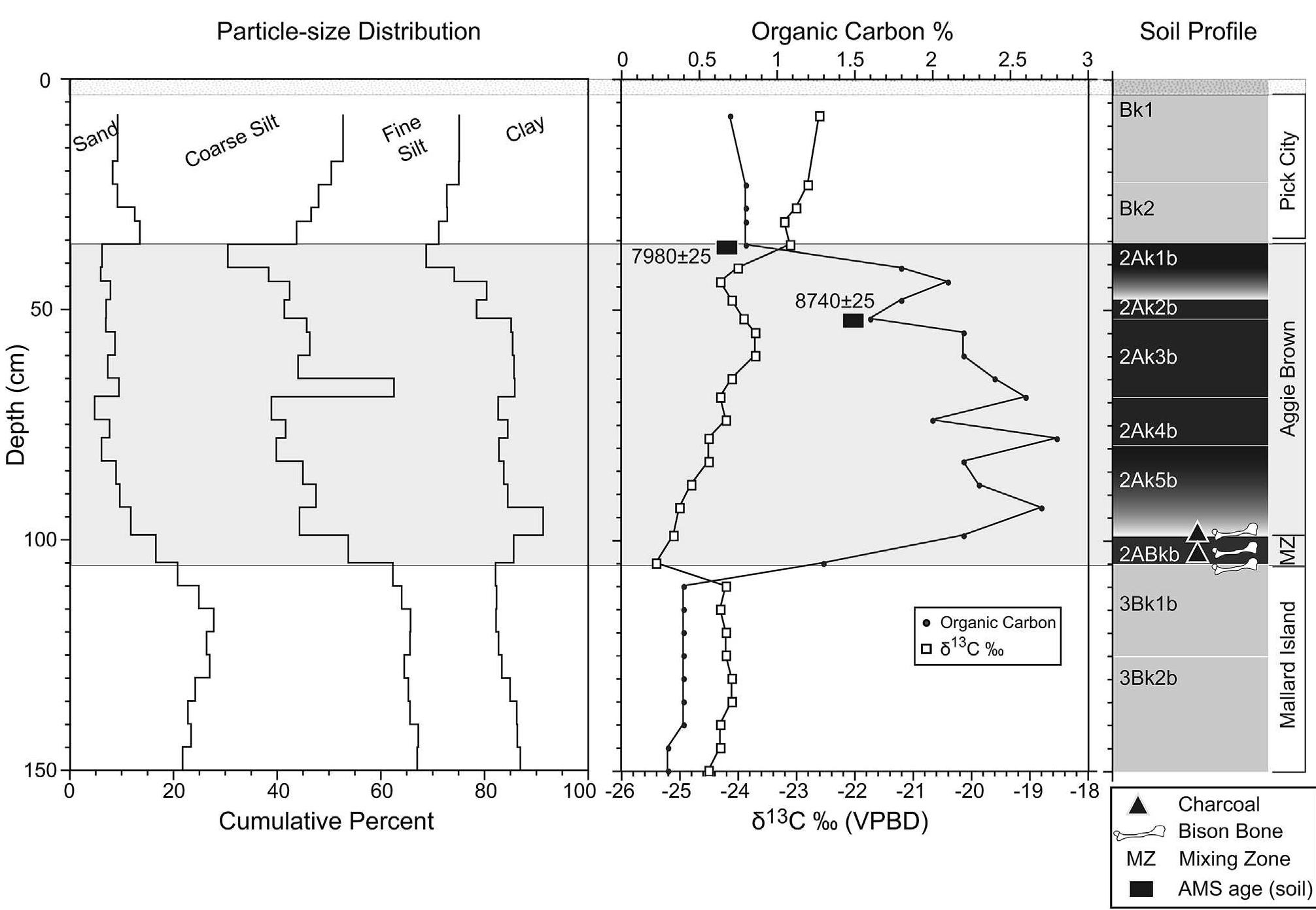 Diagram showing the stratigraphy, soil horizonation, and