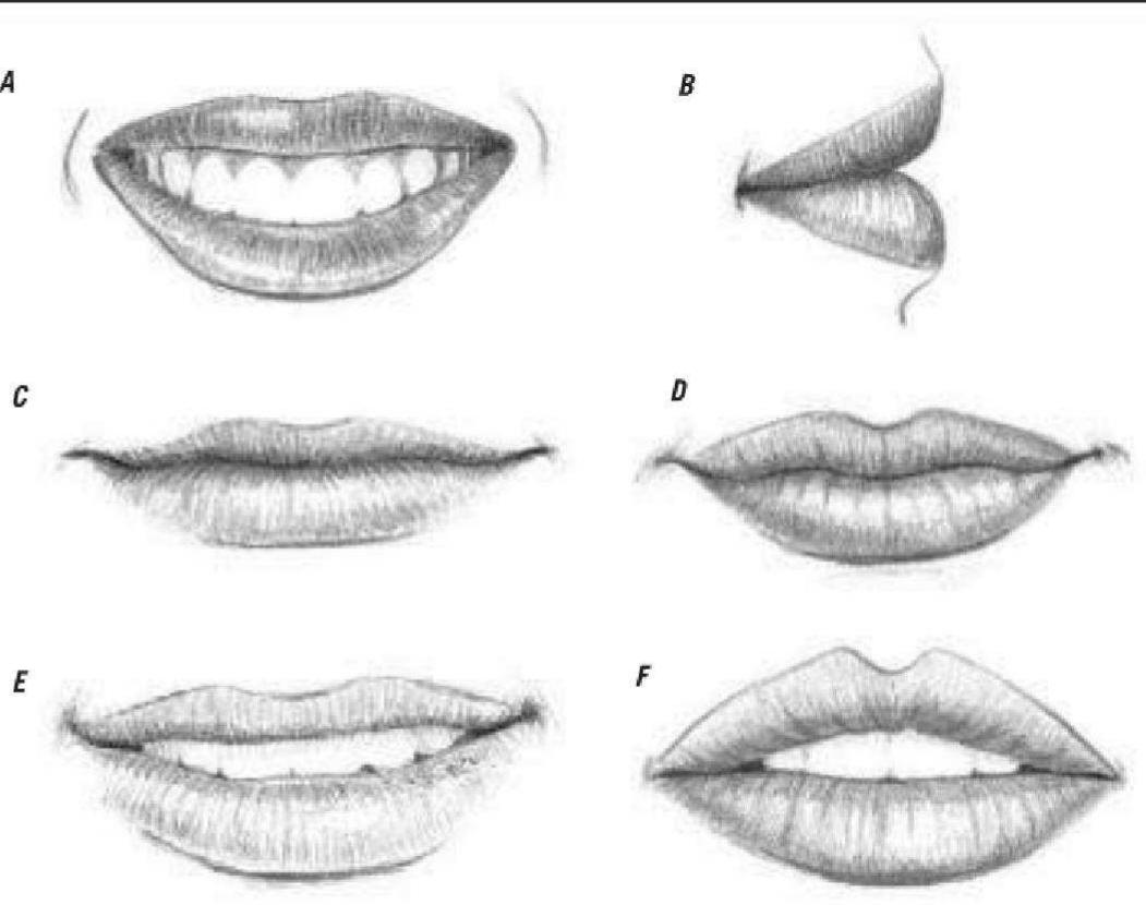 Detailing the lips deterniine how much detail you'd like to