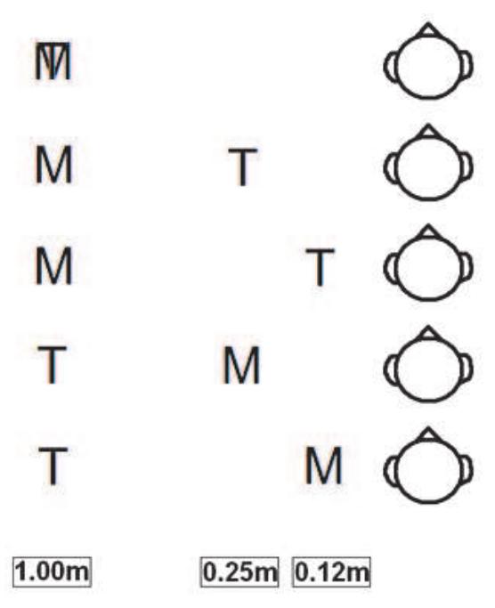 The five spatial configurations used in experiments 1 and 2.