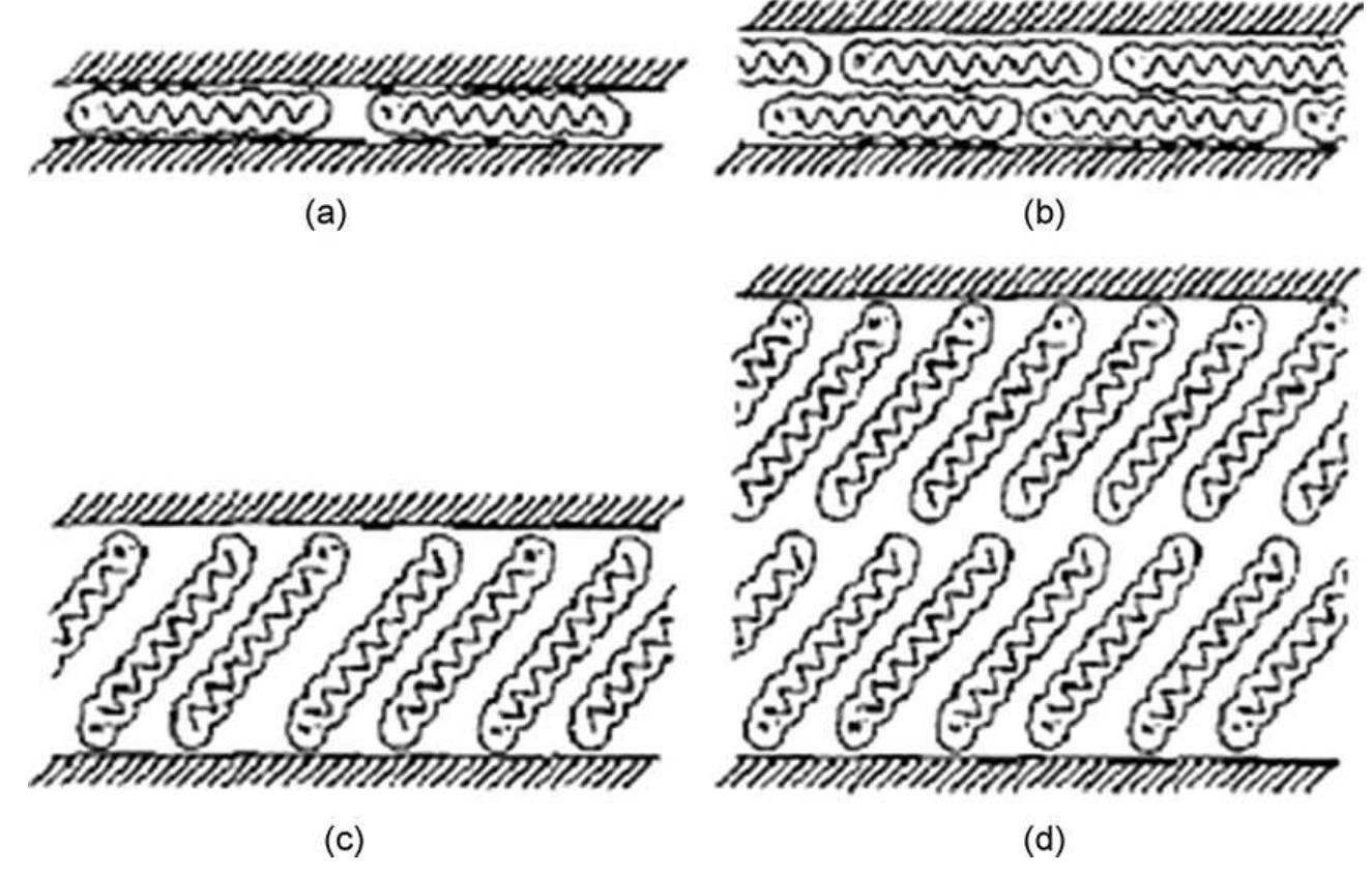 ‘ig. 3. alkyl chain aggregation in layered silicates: (a)