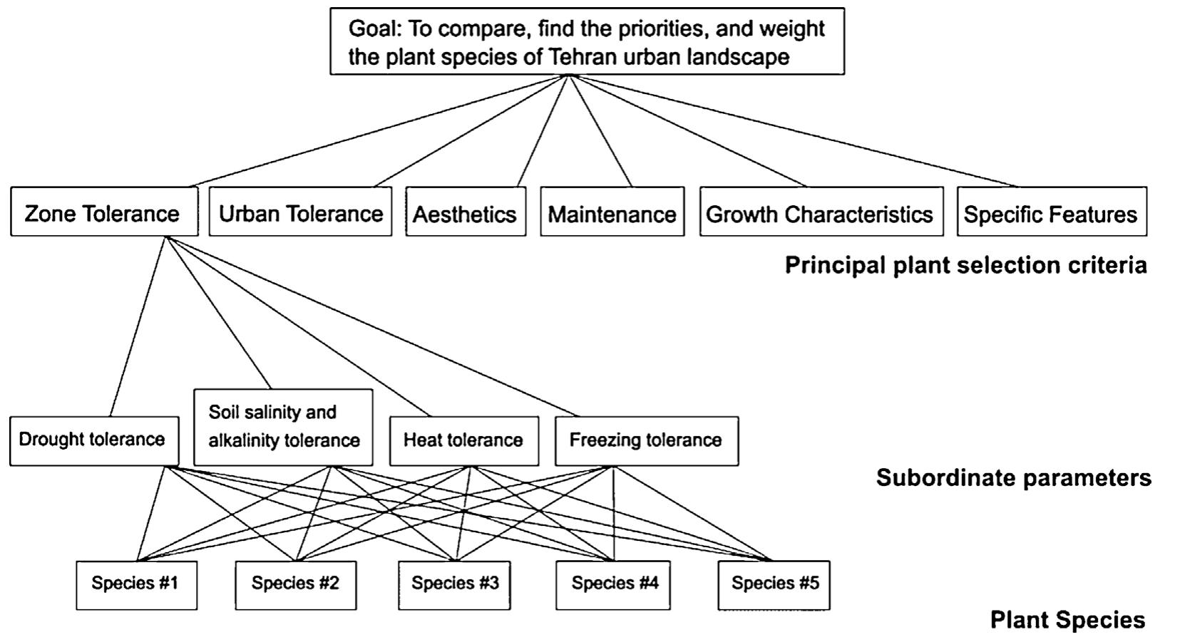 Structure of the hierarchy for plant selection.