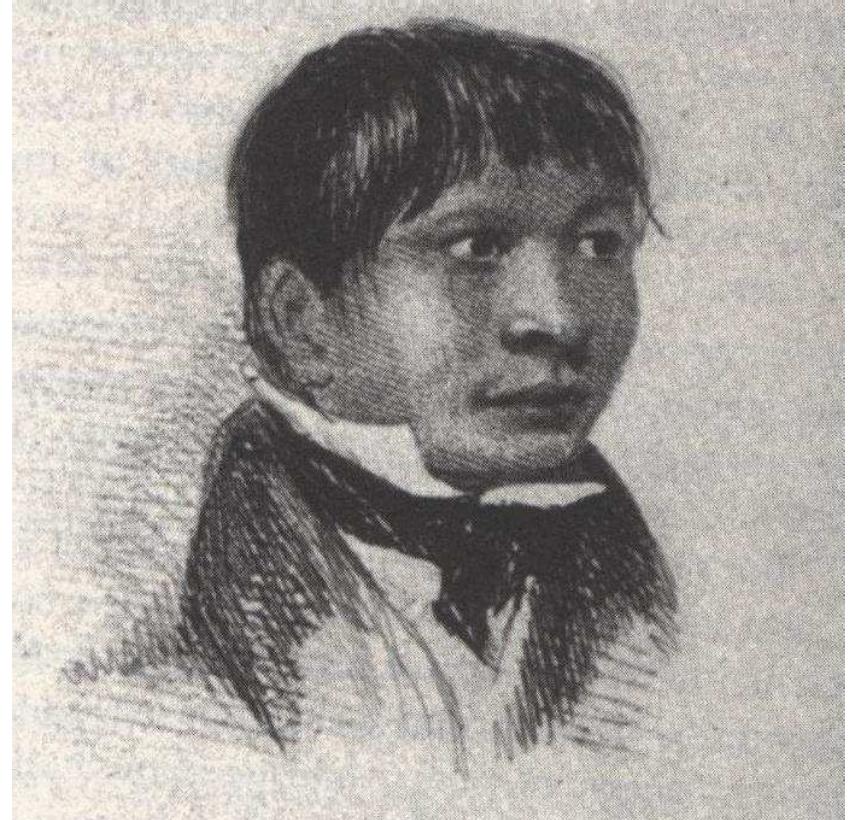 Drawing of jemmy button by robert fitzroy, 1823. from