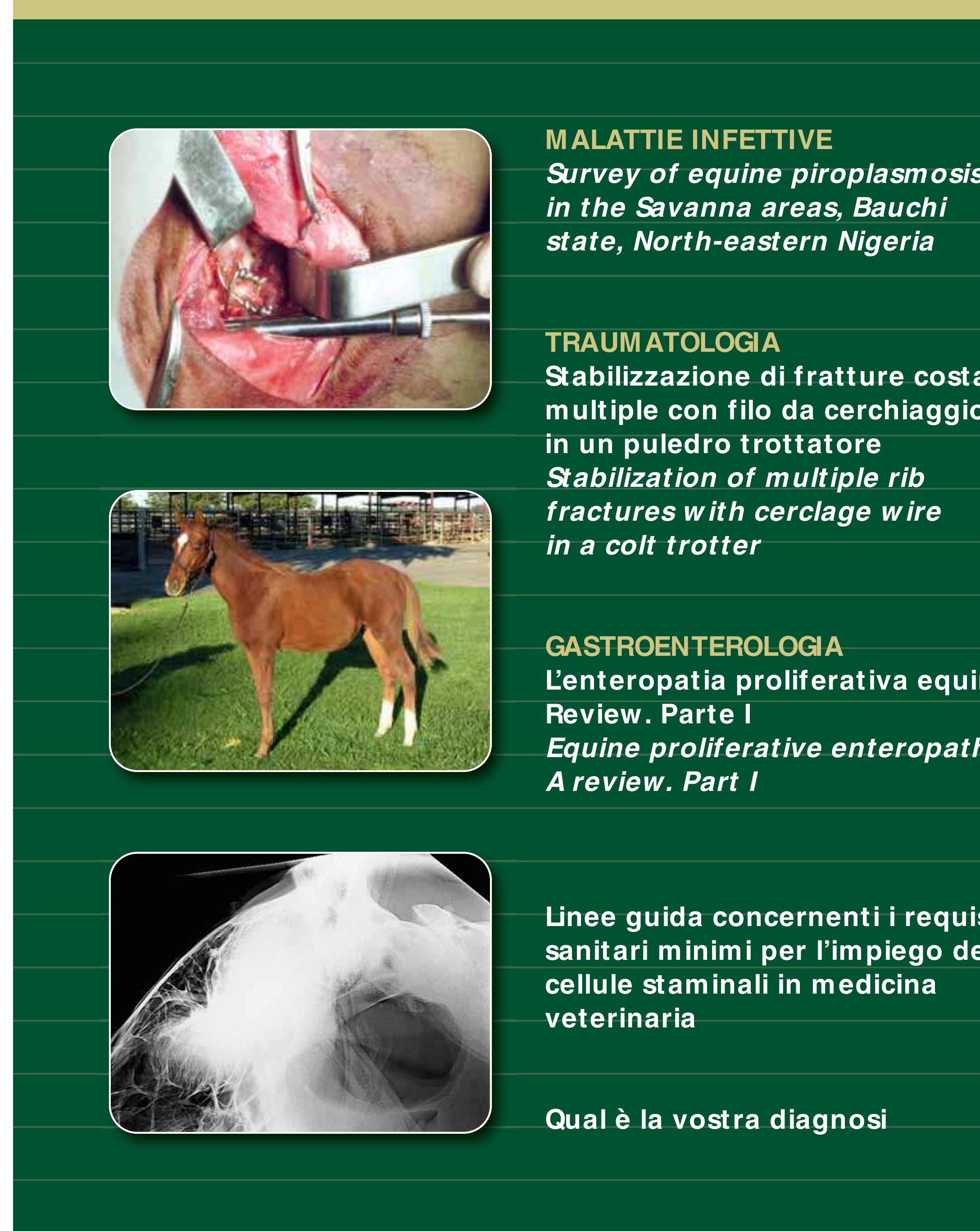 Ippologia é indicizzata su: scisearch® - isi research a