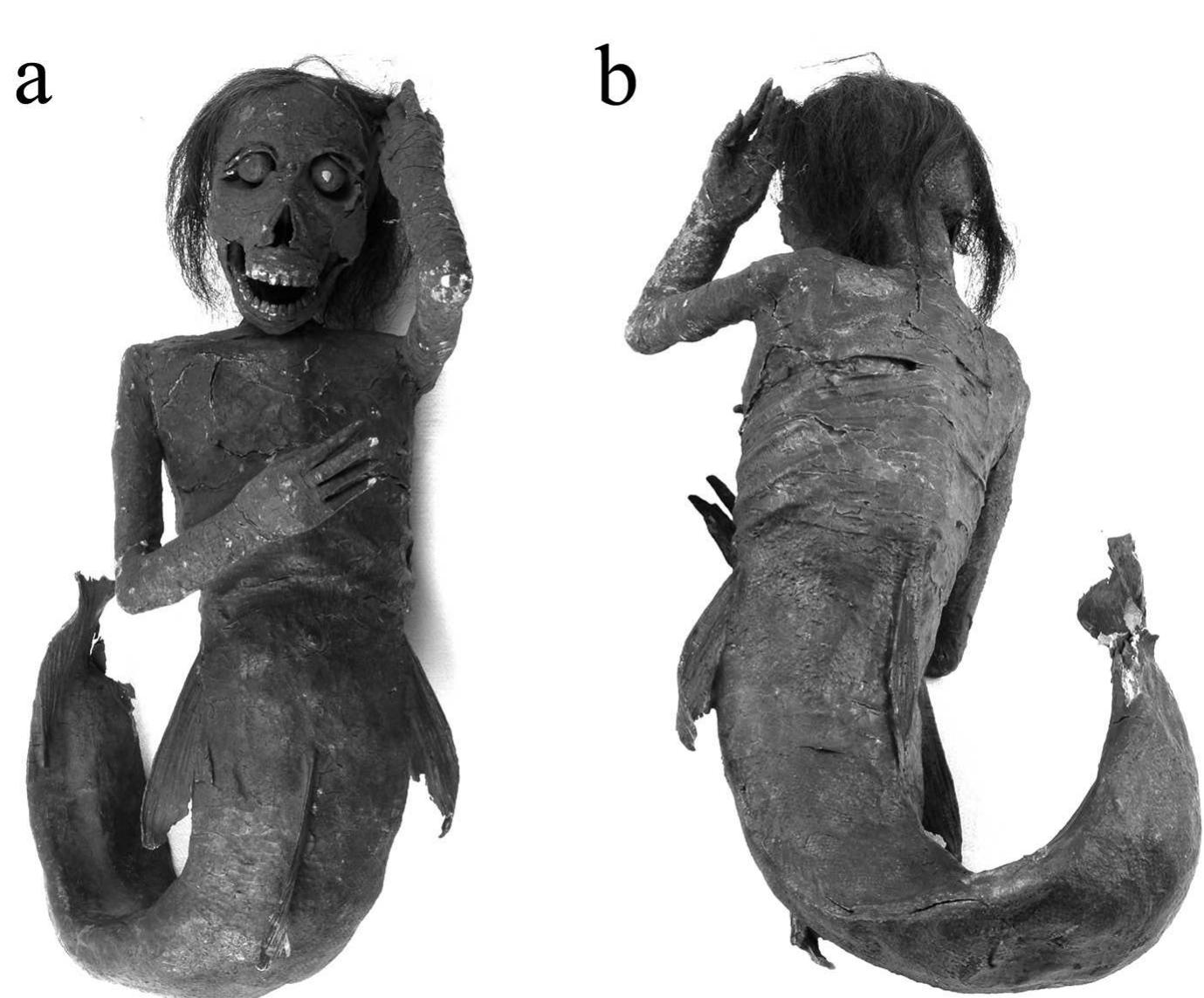Front and back view of the mermaid in the collections of