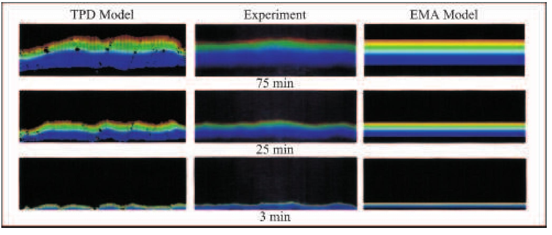 Thermal maps of a 2-d particle bed. the temperature front in