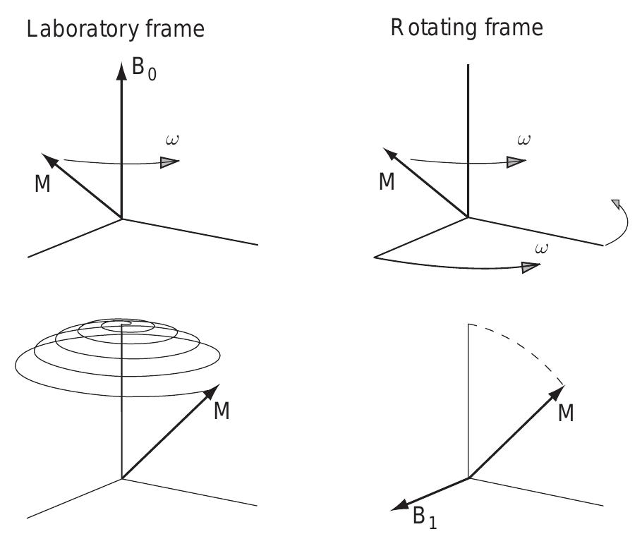 To introduce the rotating frame, forget b, for the moment
