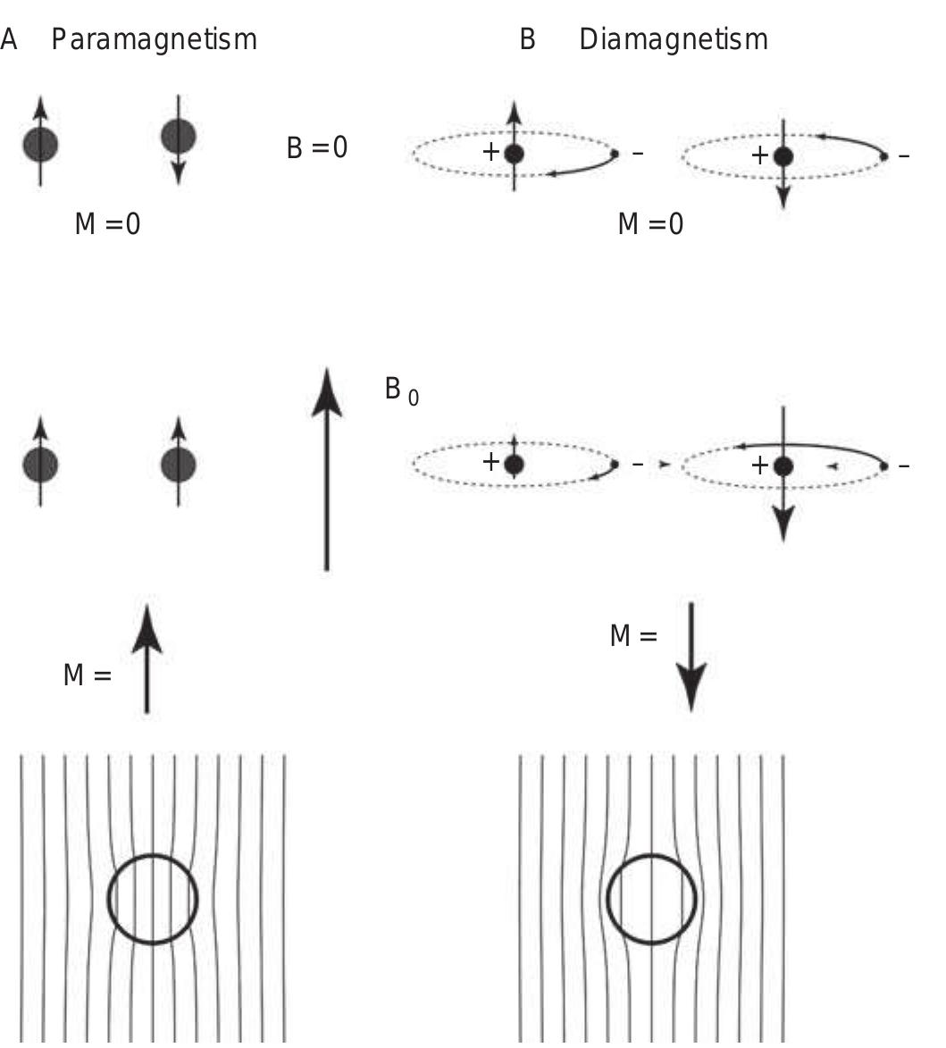 9. paramagnetism and diamagnetism. (a) magnetic dipole