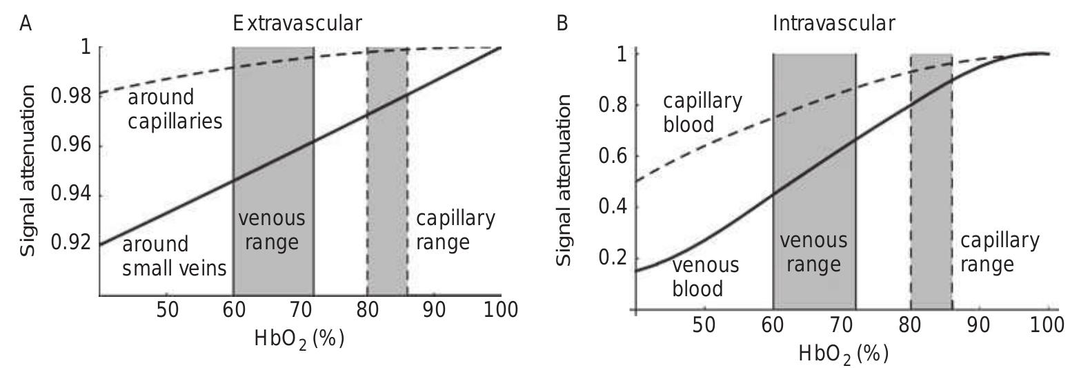 7. extravascular and intravascular components of the
