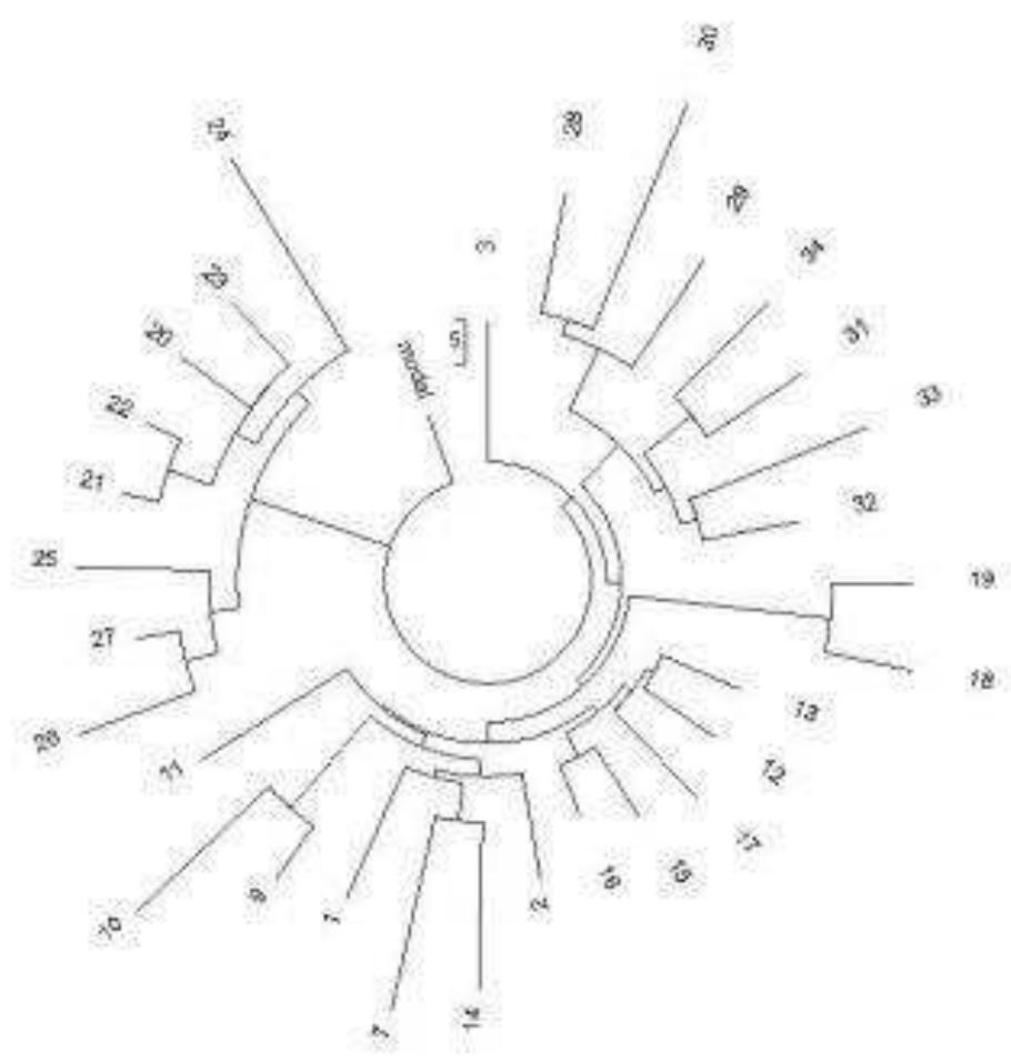 (PDF) Origins of the Irish, Scottish, Welsh and English R1b-M222 population