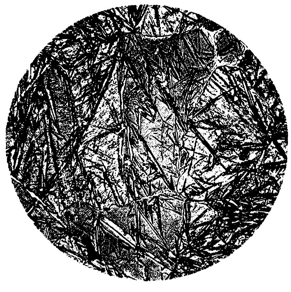12—quenched martensite—showing acicular structure (500x)