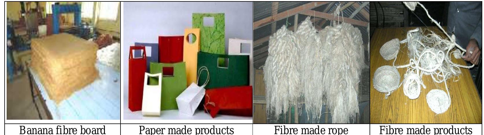 Fibre board and paper made products from banana fibres