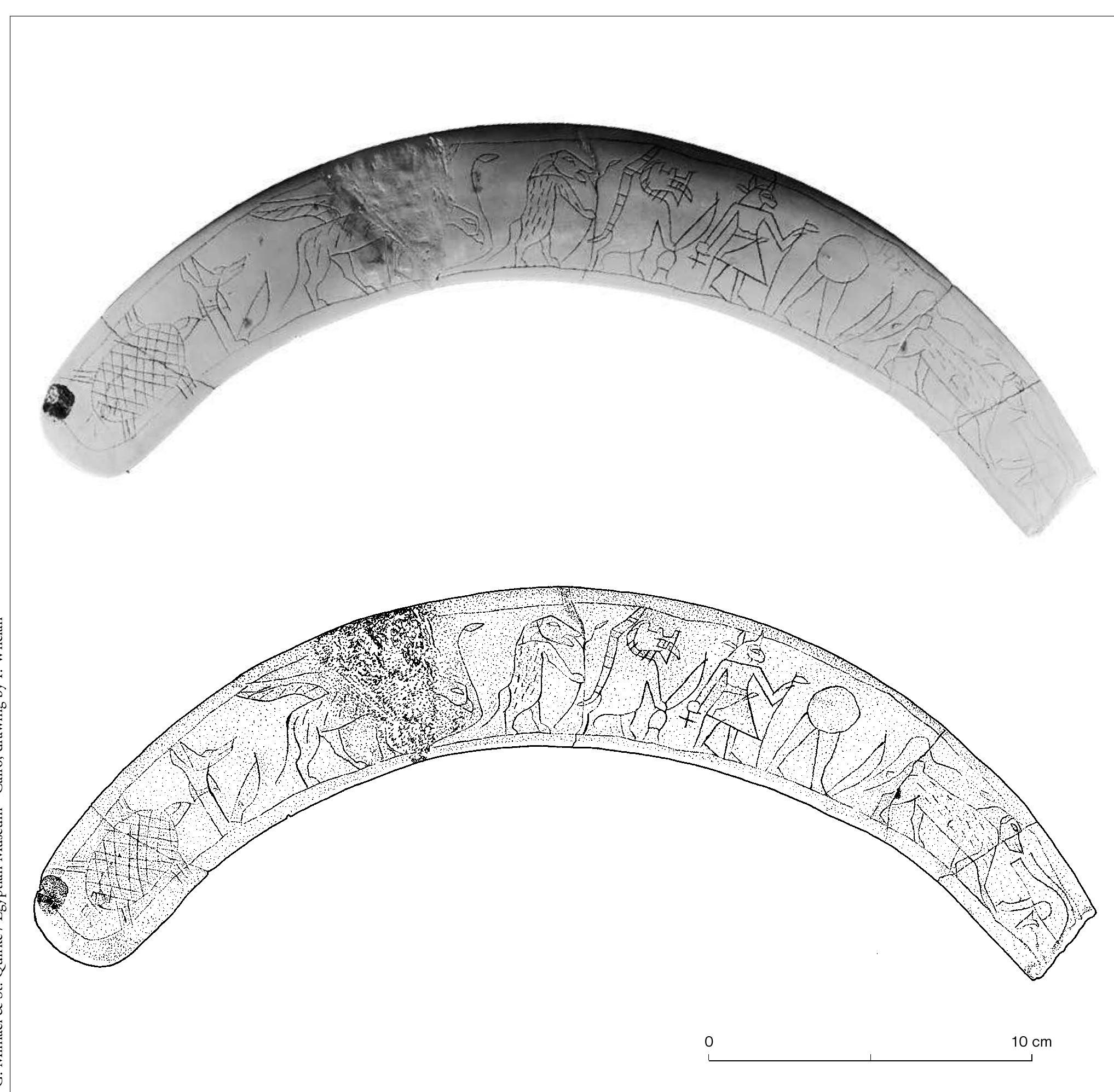 1g. 18a-b. photo and drawing of the figured hippopotamus