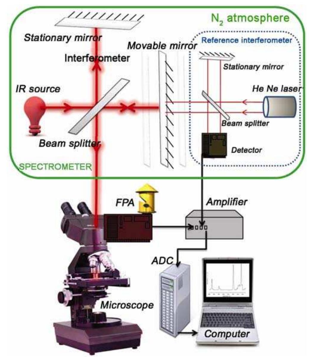 Ray diagram of ftir microspectrometer. ir radiations are