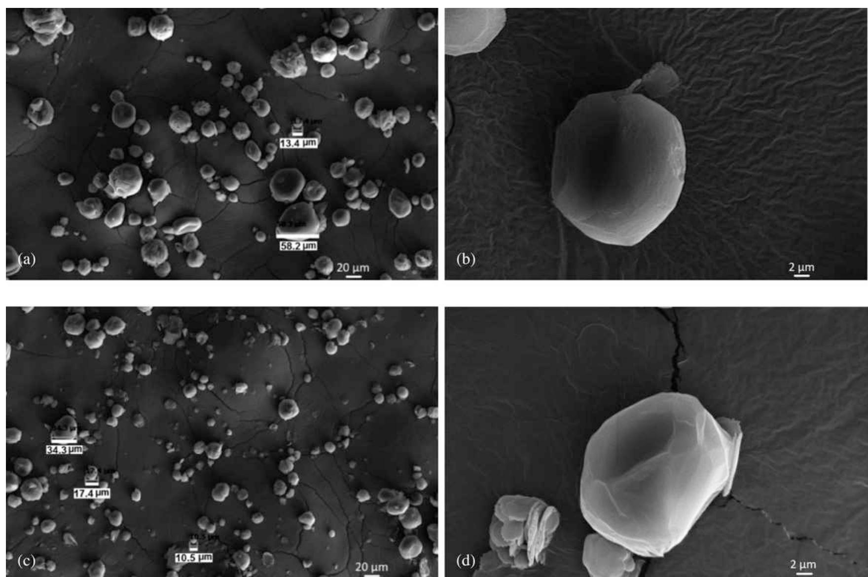 Scanning electron microscope images for paraffin wax