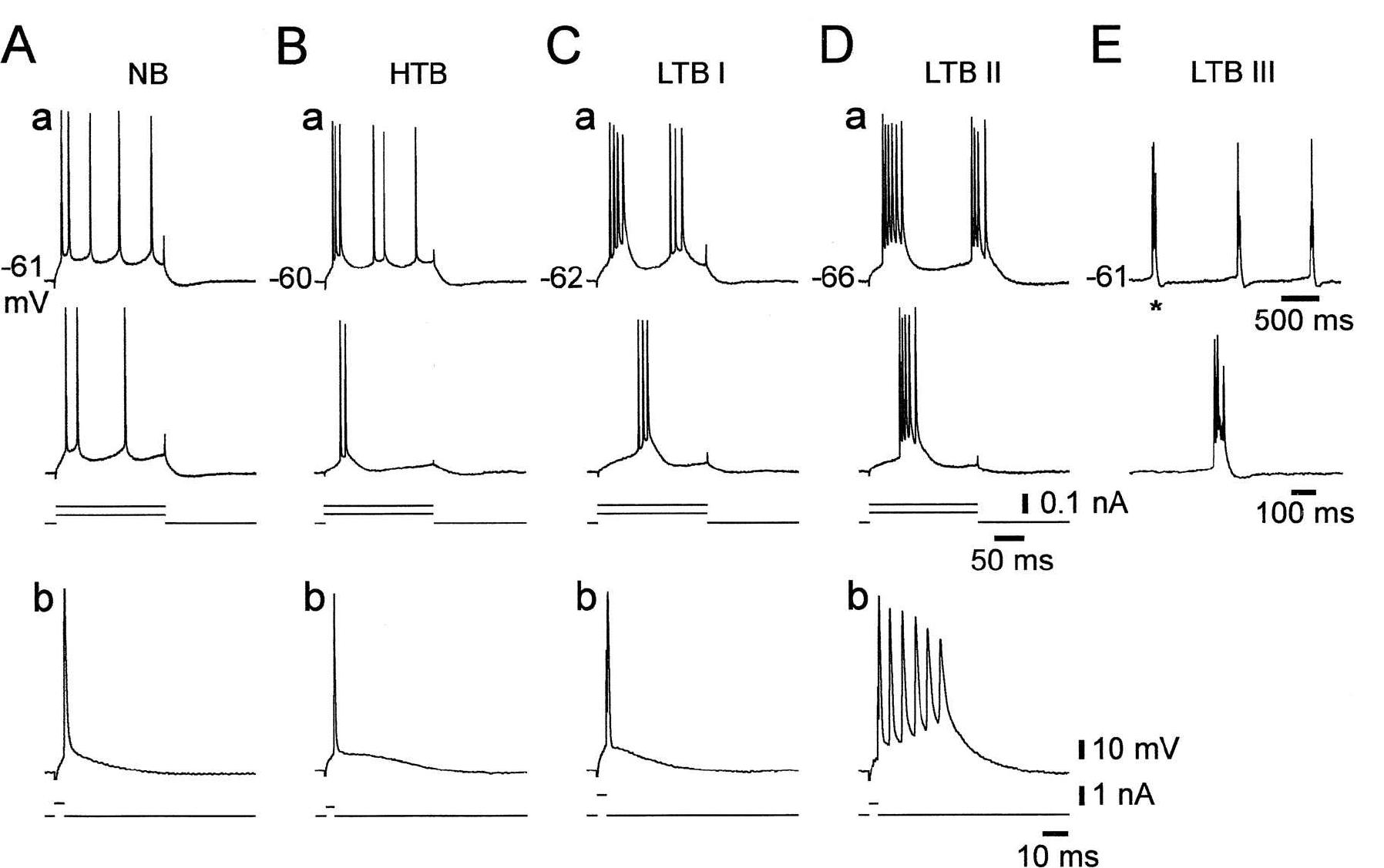 34: classification of hippocampal ca1 pyramidal neurons.