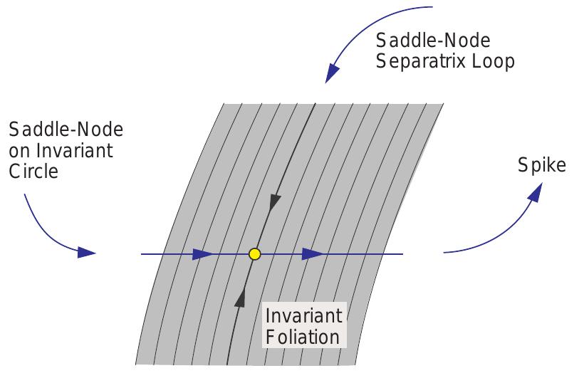 $.39: a small neighborhood of the saddle-node point can be
